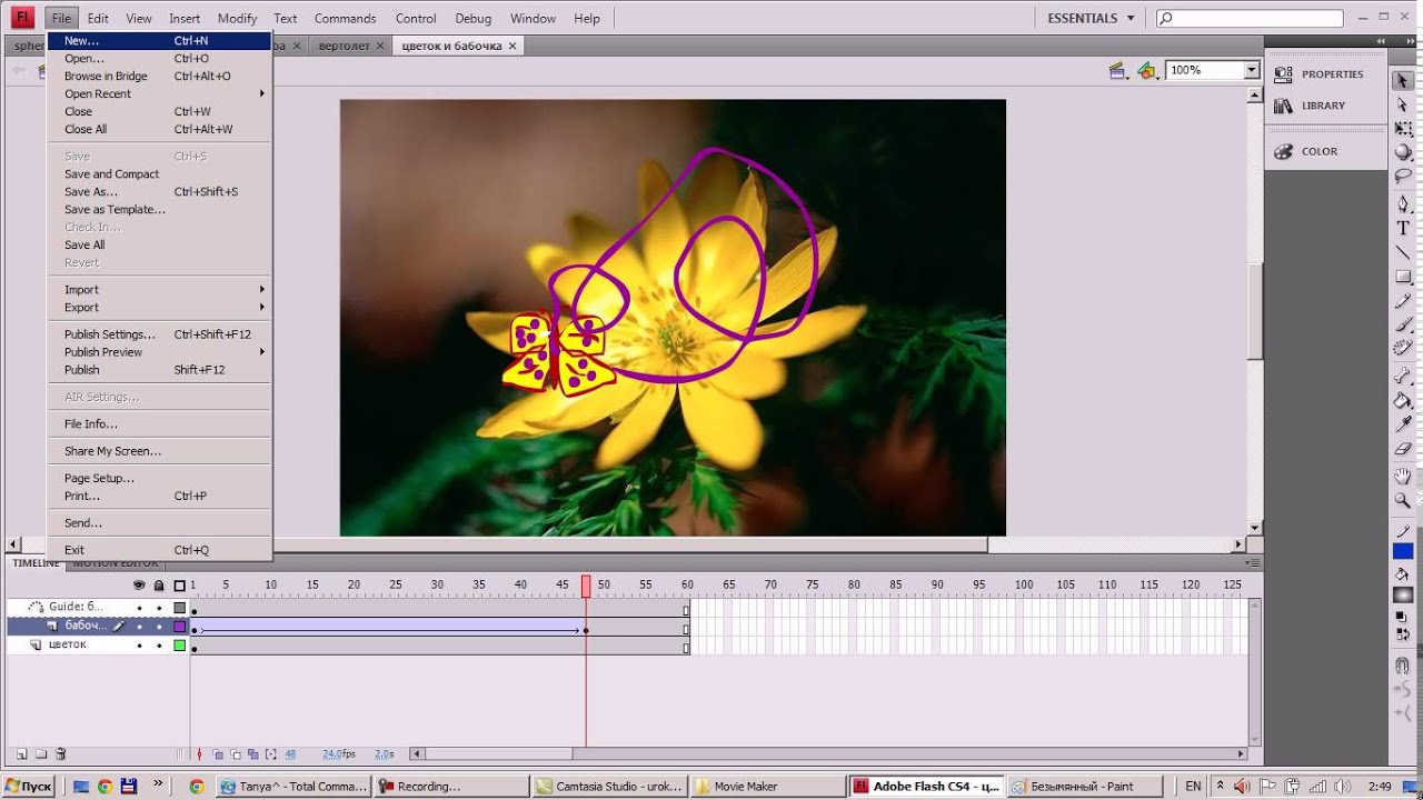 Видео-урок Adobe flash - YouTube