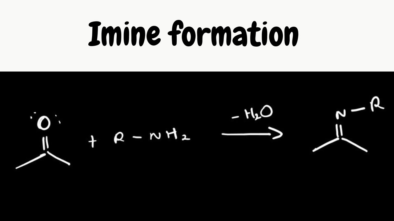 Imine formation / Organic reaction mechanisms - YouTube
