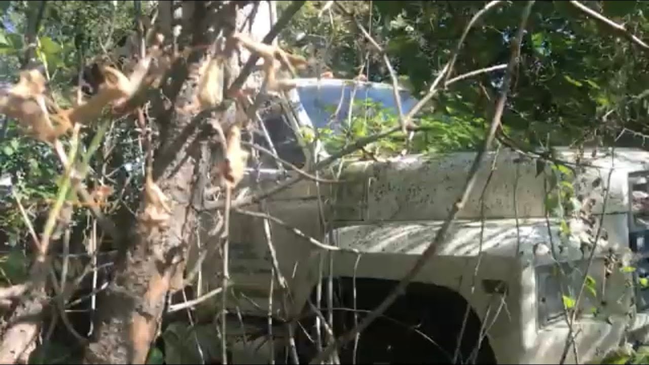 BACKWOODS USA - Abandoned Small Town Highway Shelter House Urban Farm ...