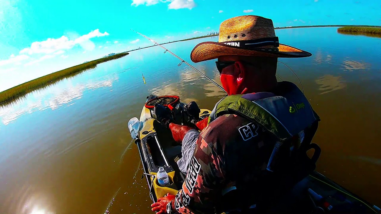 Huge School of Redfish in the Grass - YouTube