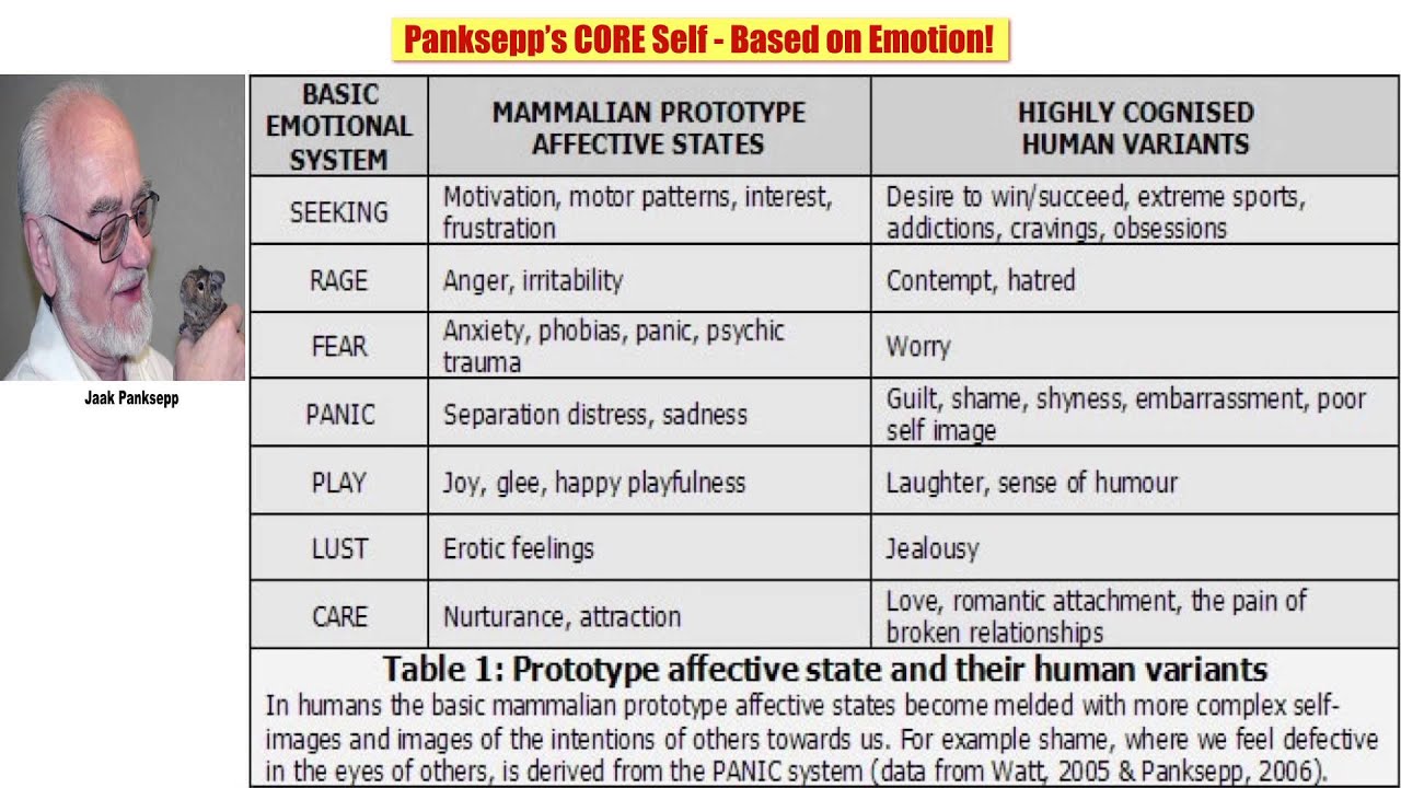 02 Panksepp's CORE Self Based on Emotion! - YouTube