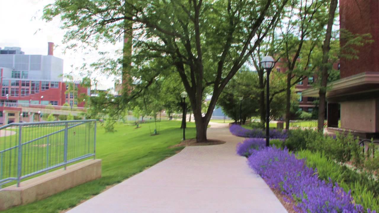 video map from Palmer Commons from Markley Hall - YouTube