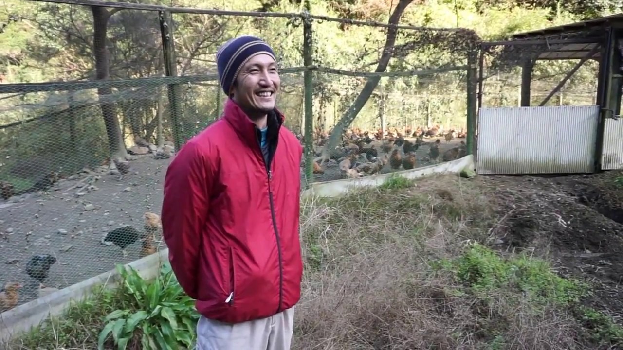Miyazaki Jitokko Yamada Farm (みやざき地頭鶏 山田農場) Jidori 地鶏 - YouTube