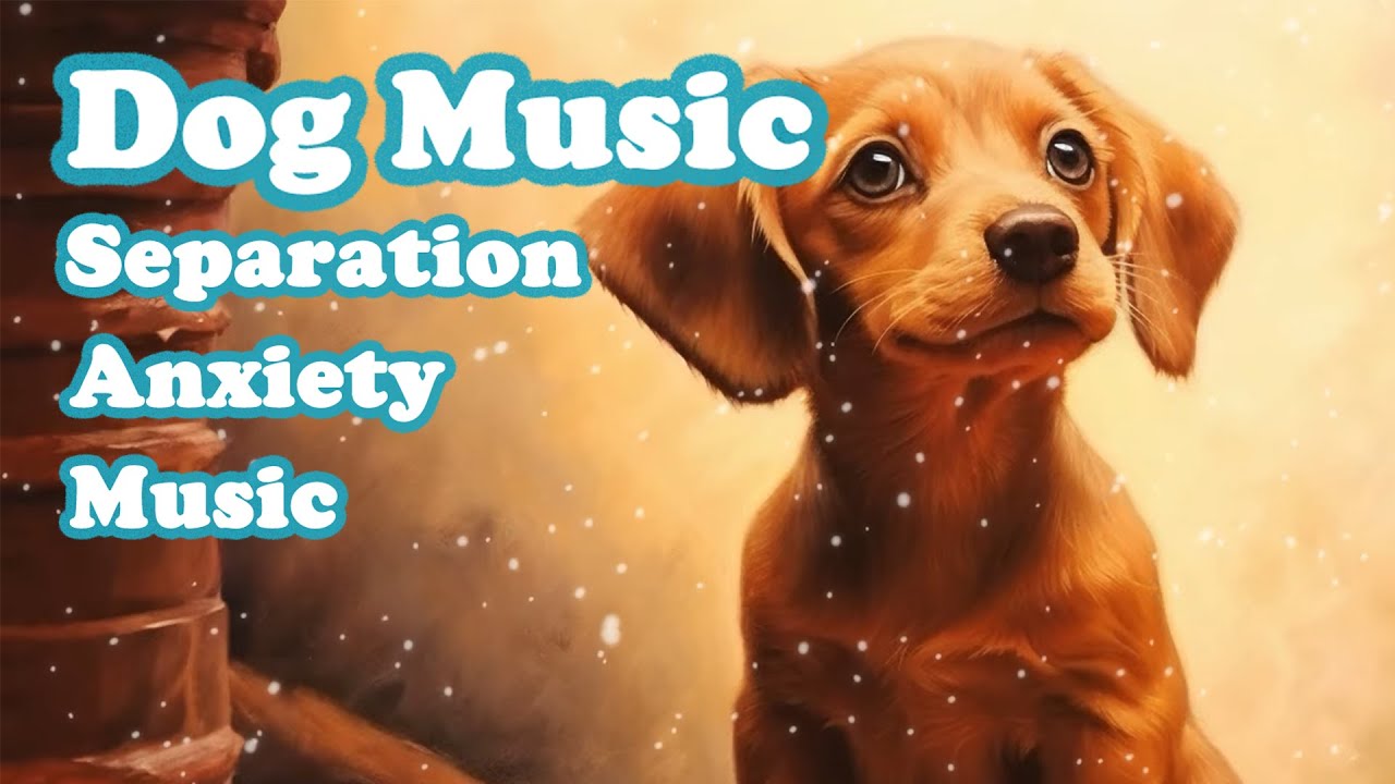 Dog Music - Sounds that Dogs Love, Soothing Sleep Music - YouTube
