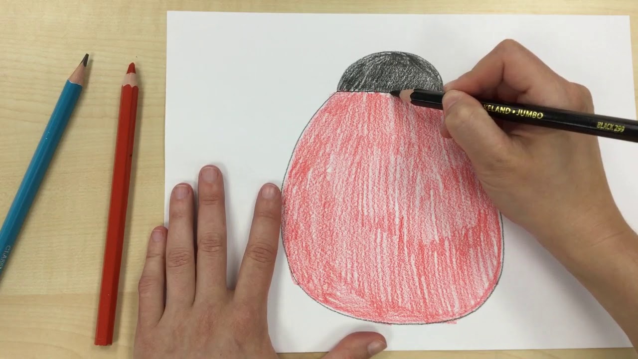 Directed Drawing Ladybird - YouTube