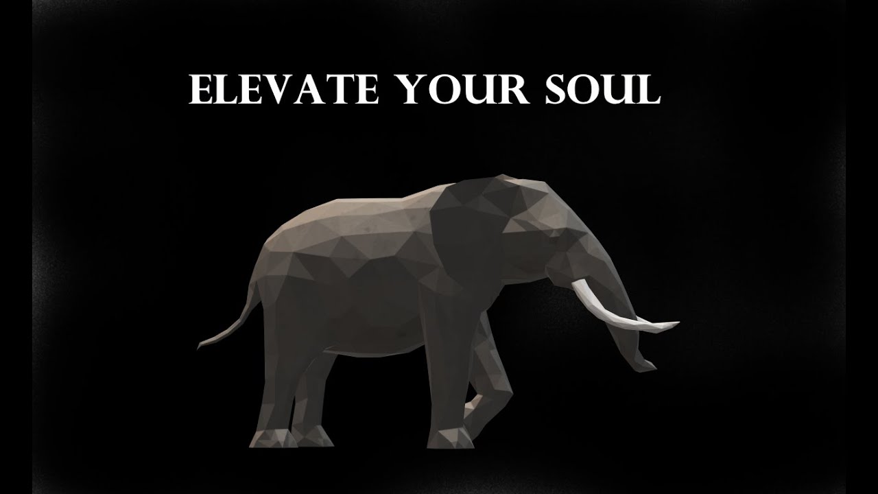 Techno "Elevate Soul" June 2024 by IliasRo - YouTube