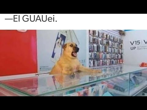 MEMES RANDOM # 429 - YouTube