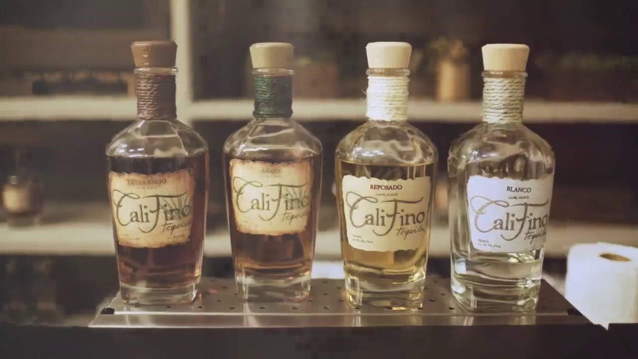 LuxeFinds x Califino Tequila Influencer Party - Brand Activation at ...