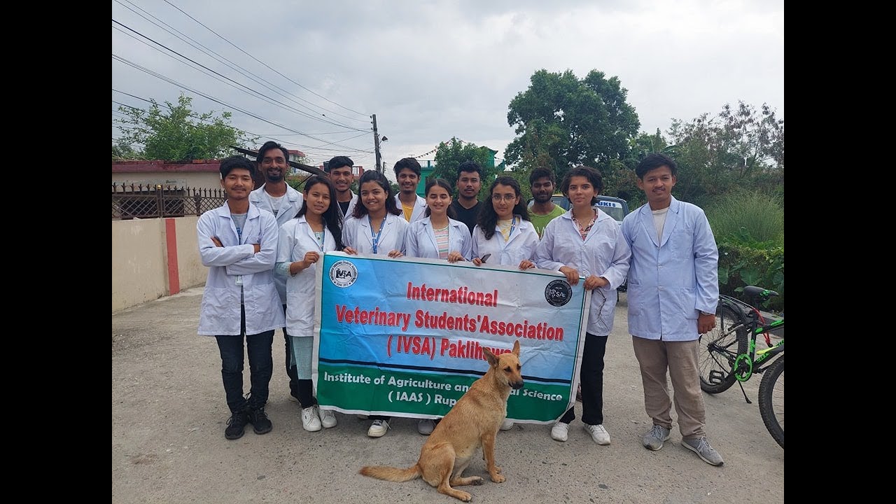Animal Feeding Program || IVSA Paklihawa - YouTube