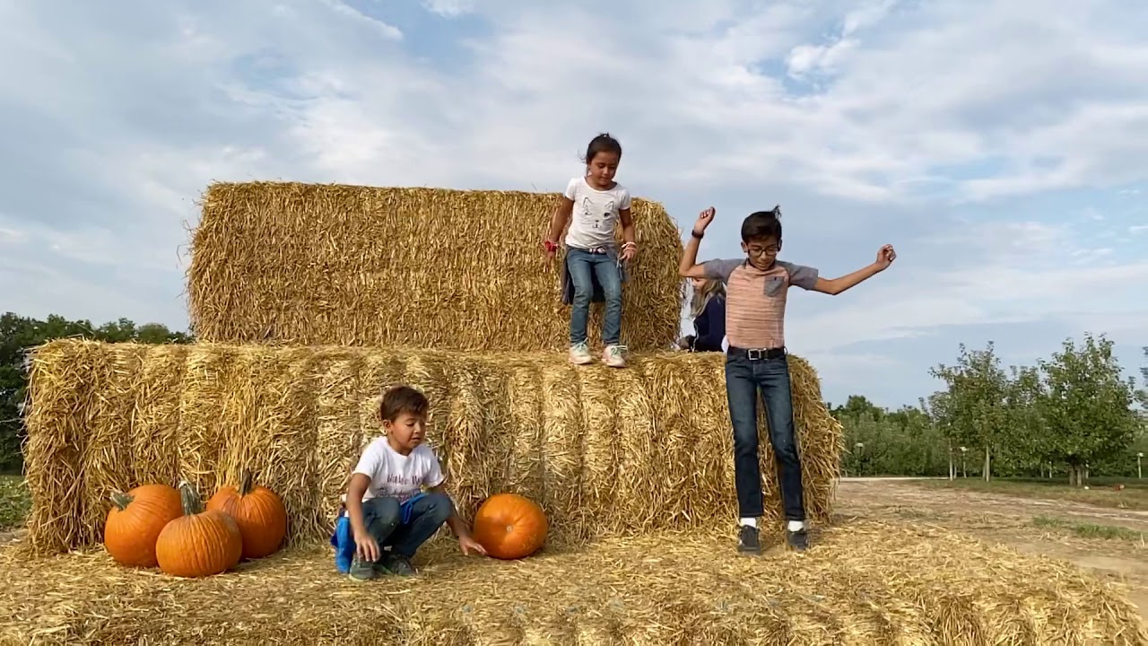 Hay bale jump 2019 - YouTube