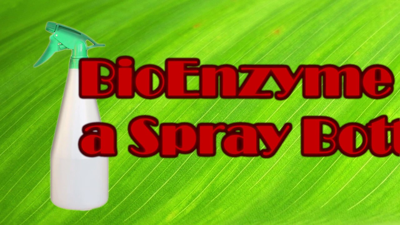 BioEnzyme in a spray bottle - YouTube