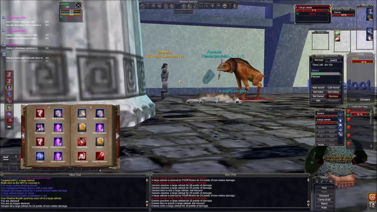 EverQuest: Powerleveling an Enchanter with a Druid - YouTube