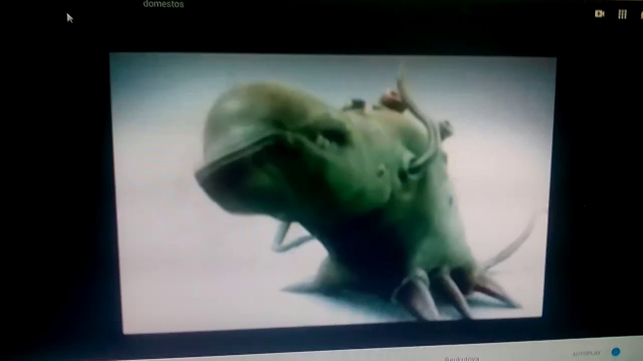 Domestos germs advert germ will die - YouTube