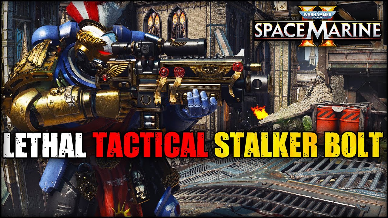 The Tactical Stalker Bolt Build Is Actually Amazing - SOLO Lethal ...