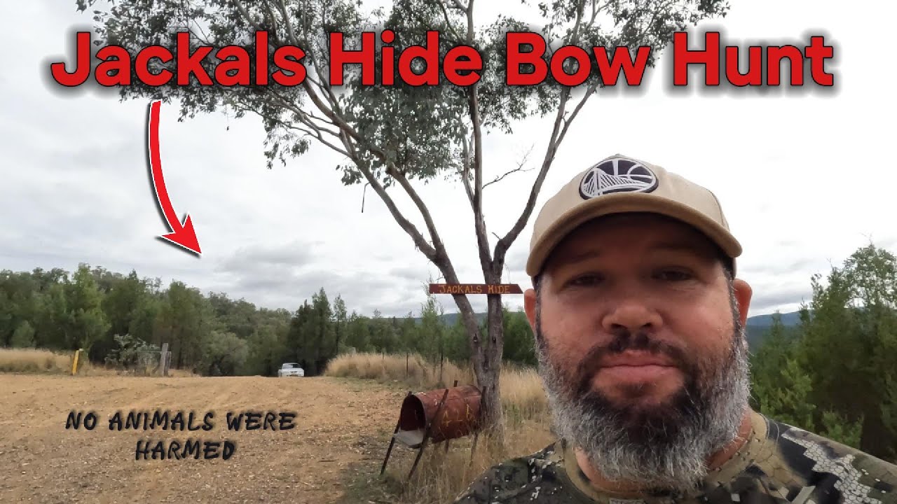 Bow Hunt | Jackals Hide | Goats - YouTube