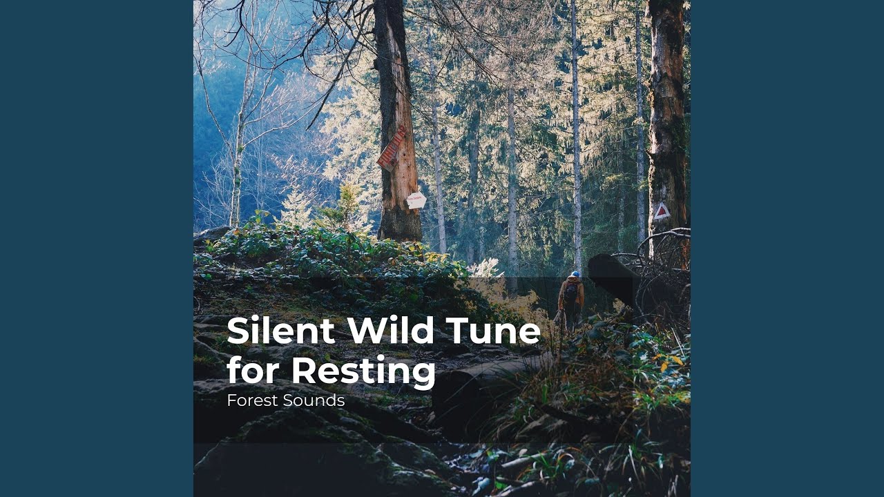 Musical Forest Ambience - YouTube