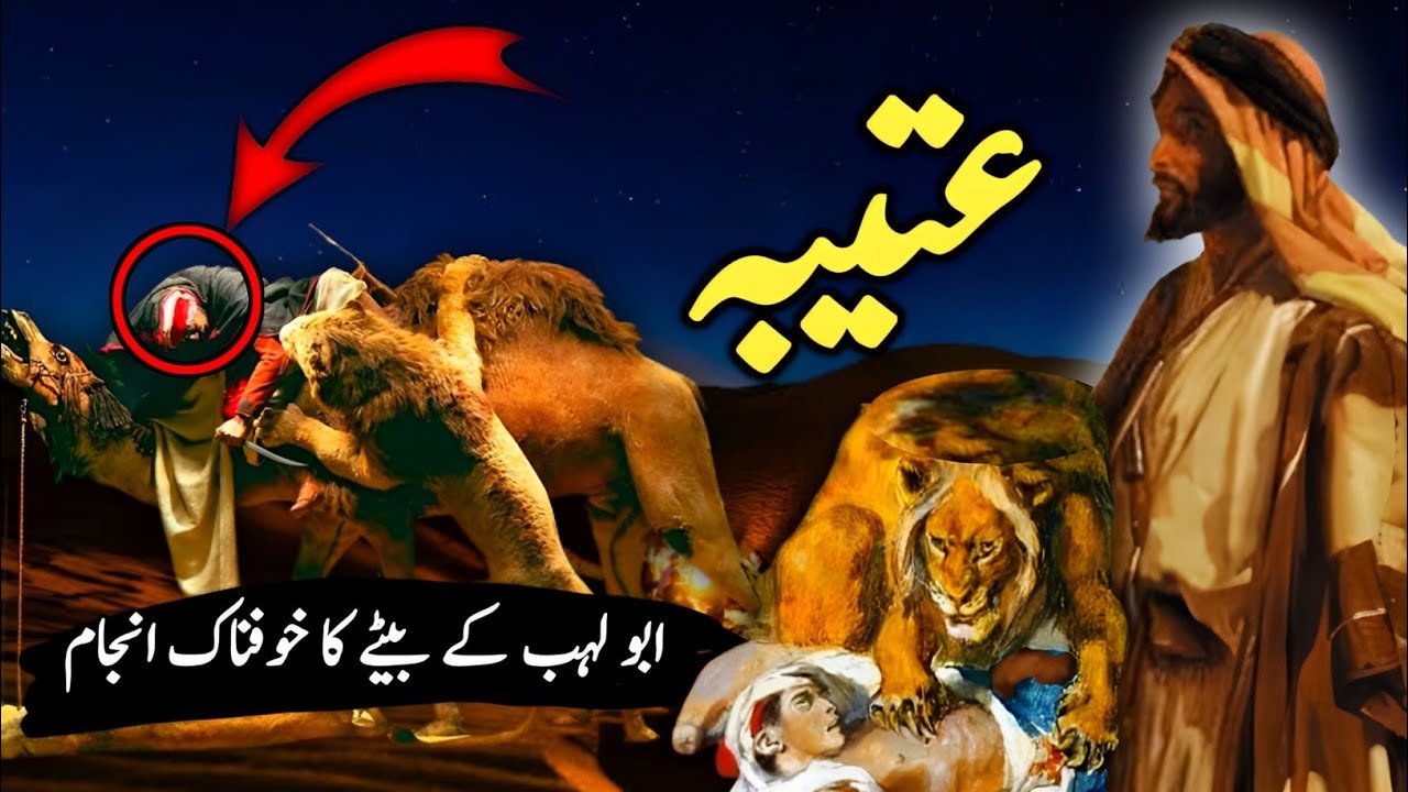 Who was Utaybah bin Abi Lahab? | Abu Lahab ka beta | Abu Lahab ka Anjam ...