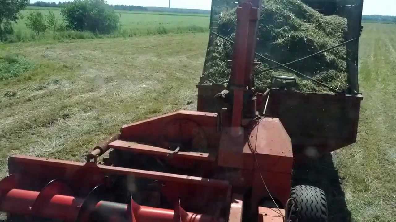 Foraging with TA ten x, changing wagon - YouTube