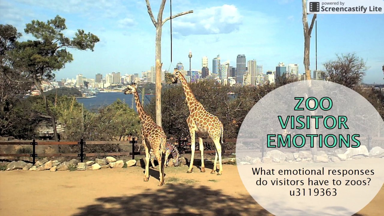 Zoo visitor emotion: What emotional responses do visitors have to zoos ...