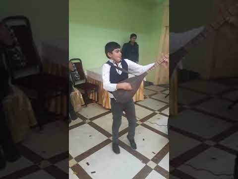 Ceyhun saz berde Qizil Tac