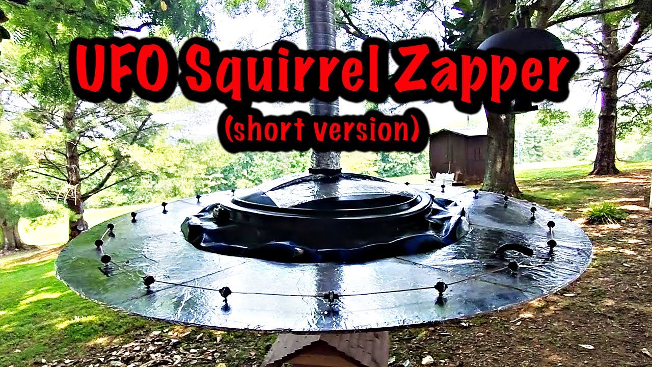 UFO SQUIRREL ZAPPER - Squirrel Wars - Short Ver E3 - Impenetrable ...
