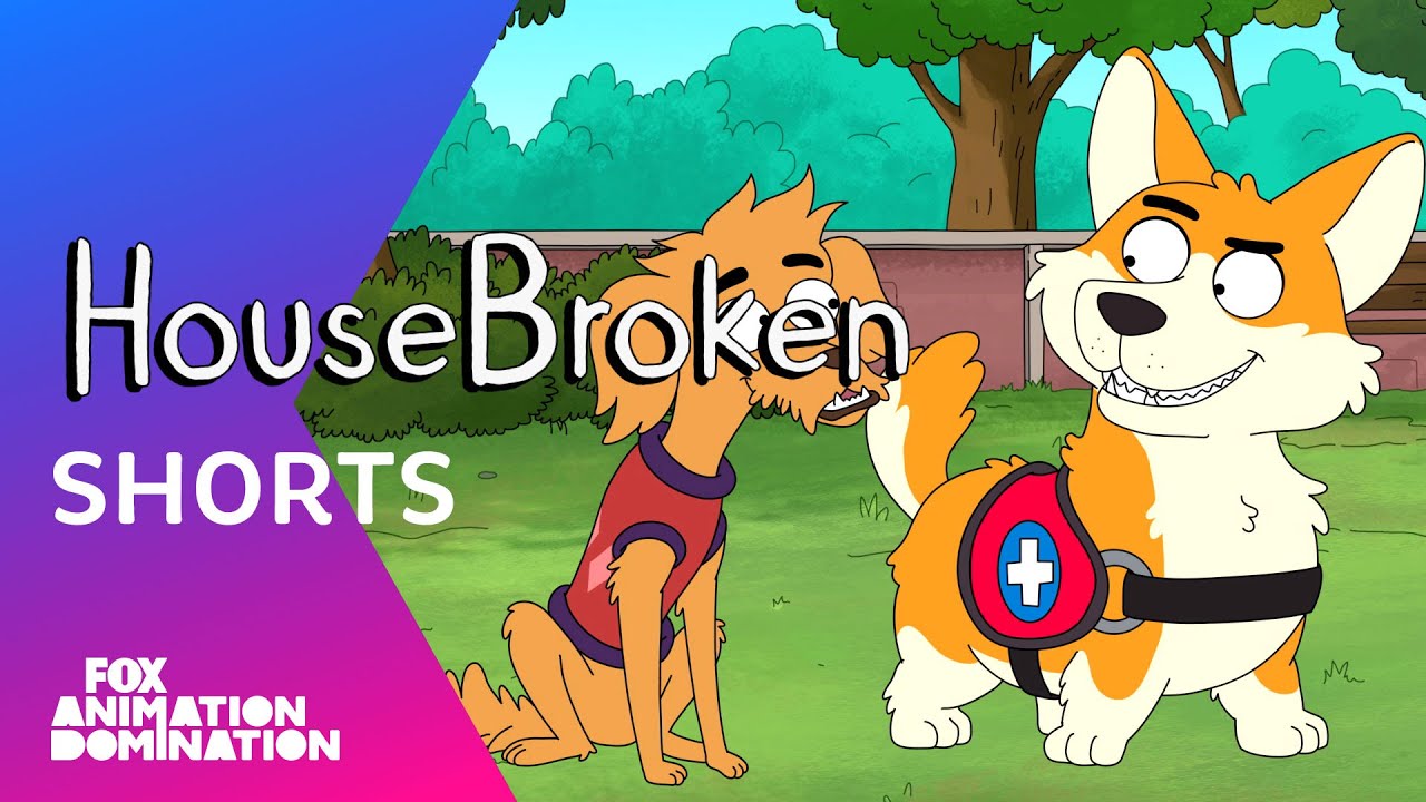 Diablo Puts His Wingman Skills To The Test | HOUSEBROKEN #Shorts - YouTube