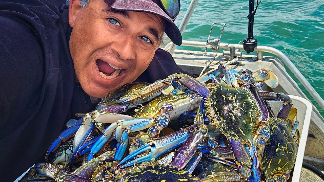 Tons of Work for Tons of Crab! Blue Crab Fishing for an Epic Catch n ...