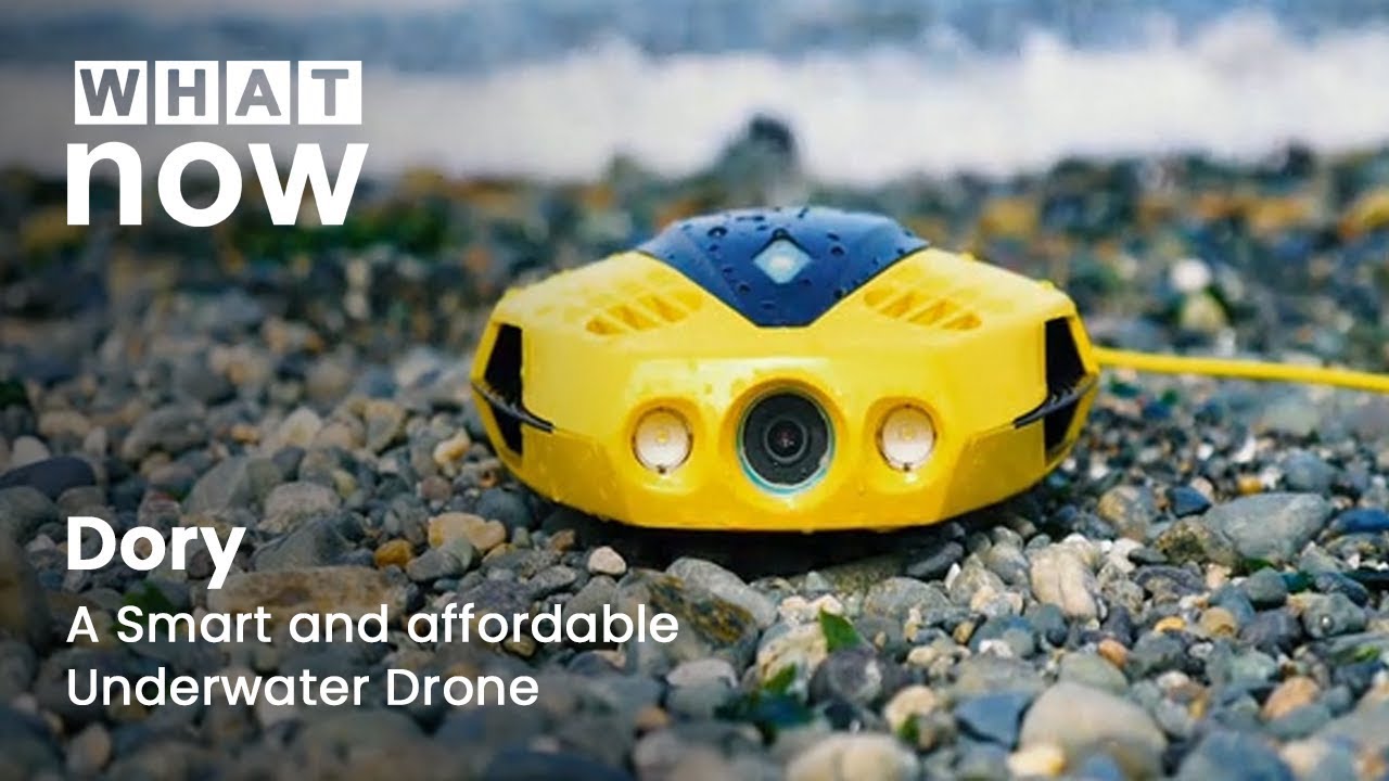 CHASING DORY Underwater Drone - YouTube