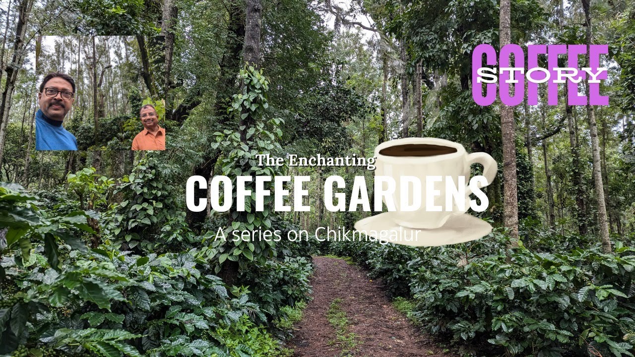 Coffee Story | Life Journey of Coffee and its Discovery | Walk in ...