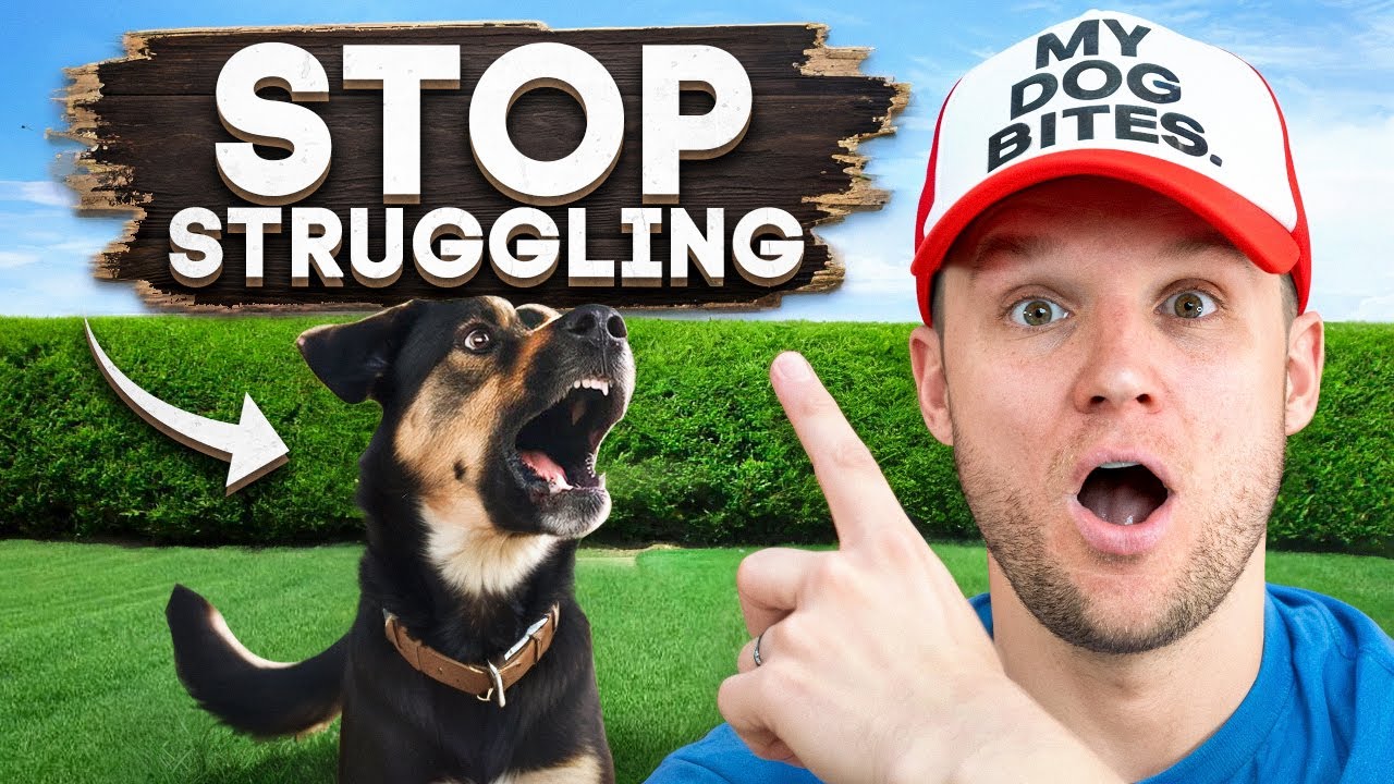 The secret dog trainers don't want you to know! - YouTube