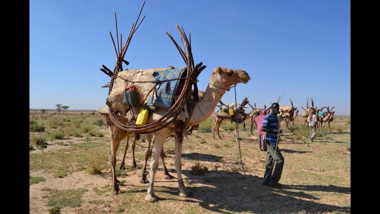 DHAQANKA IYO HIDAHA 362-- 366 AXMED FAARAX IDAAJAA - YouTube