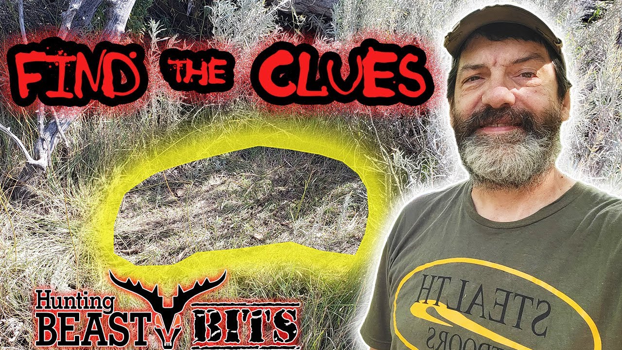 Dan Infalt Uncovers Hidden Clues from the Shapes of Buck Beds - YouTube
