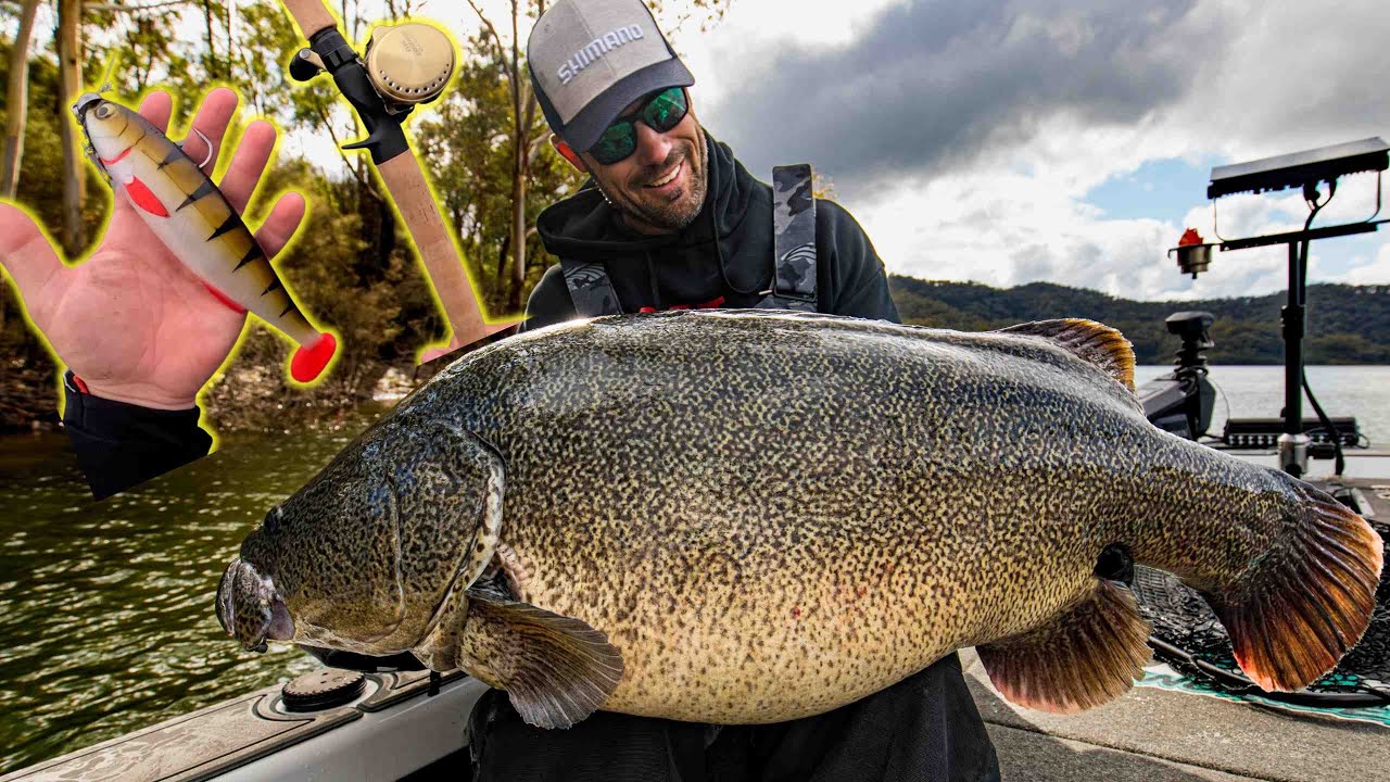 Giant Murray Cod Lures for Giant freshwater fish - YouTube