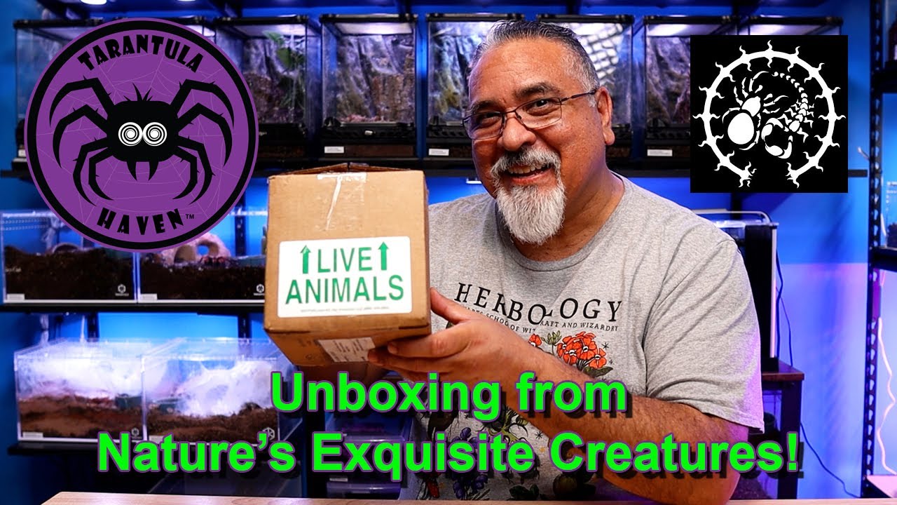 Unboxing from Nature's Exquisite Creatures! - YouTube