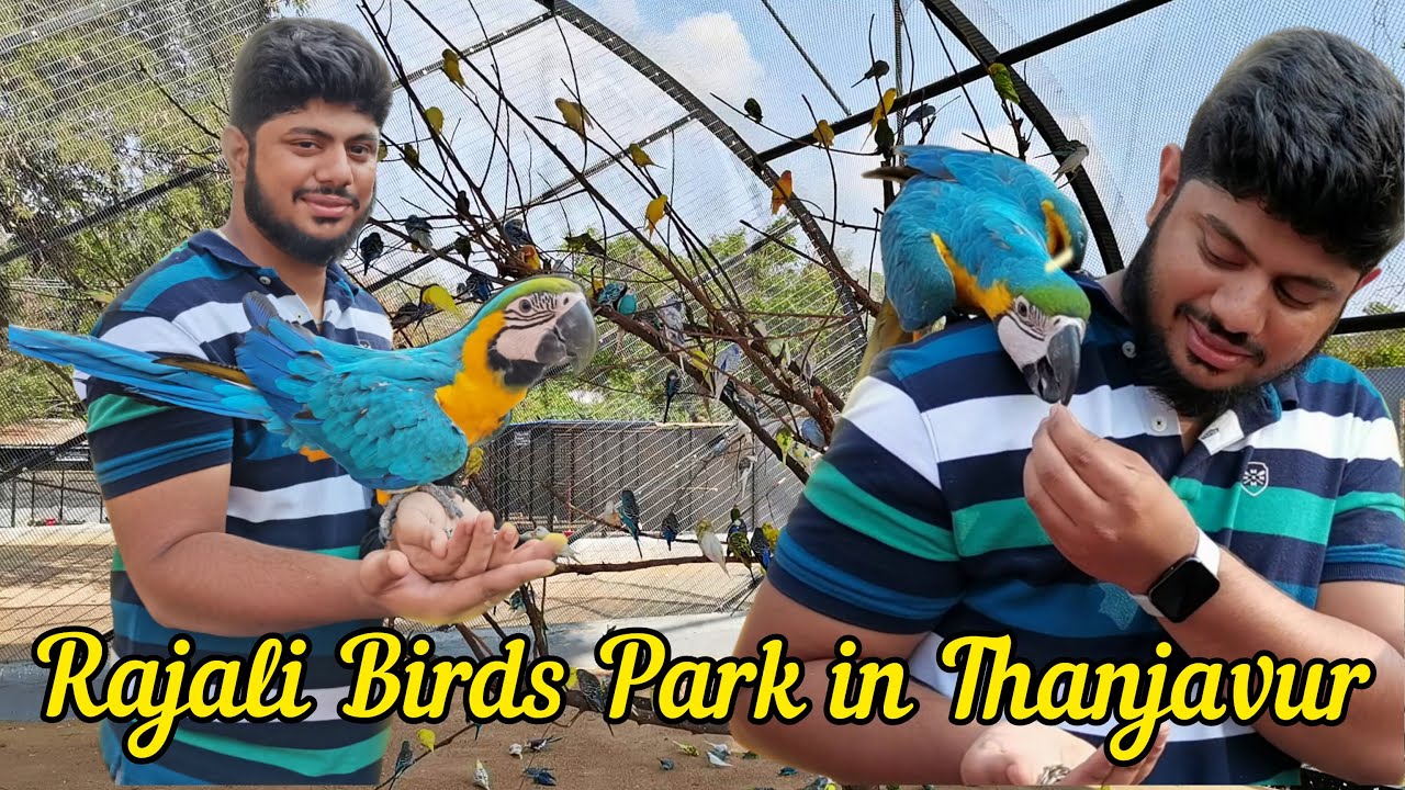 Rajali Birds Park in Thanjavur | New tourist place in Thanjavur ...