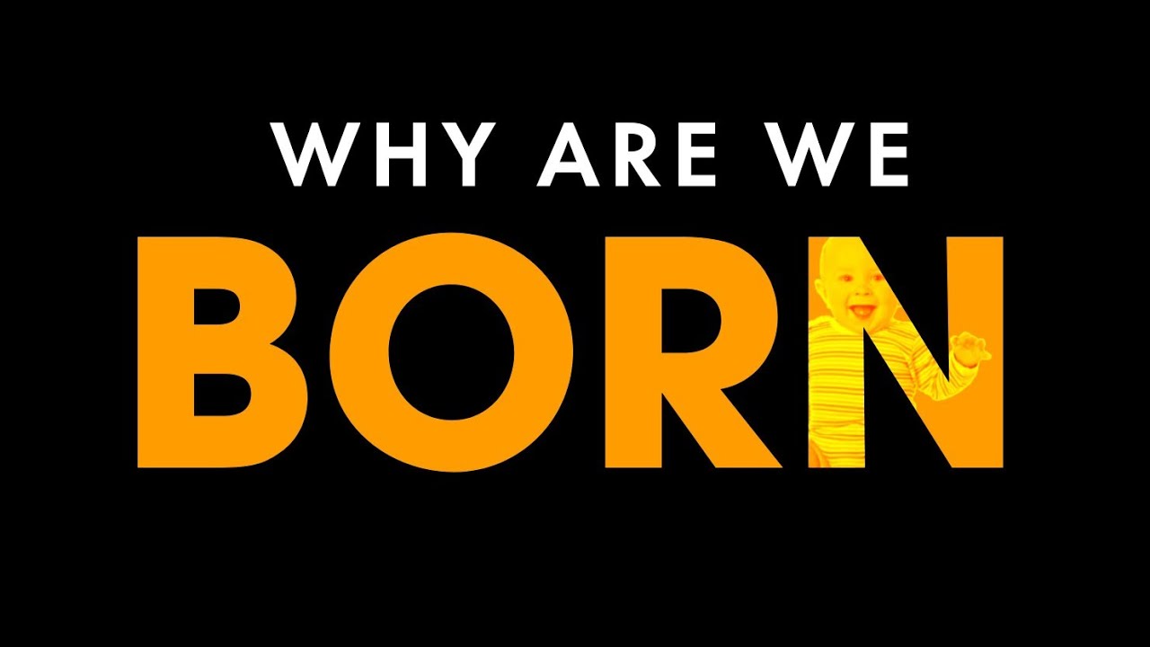20. हम यहाँ क्यों पैदा हुए हैं? Why are we born here? | Zenyoga in hindi - YouTube