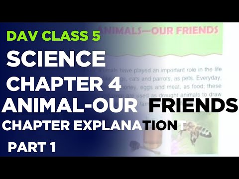 DAV Class 5 Chapter 4 Animals - Our Friends Chapter Explanation - YouTube