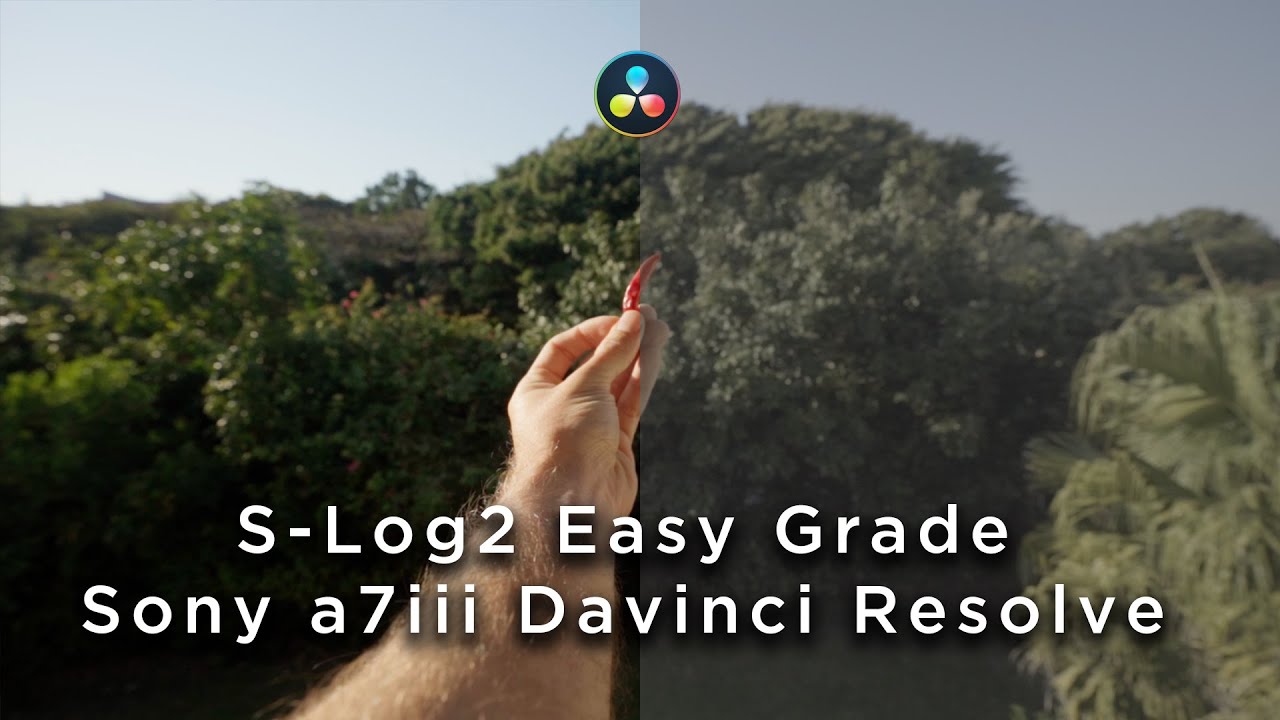 Easy Colour Grade S Log2 DaVinci Resolve A7iii YouTube easy-colour-grade-s-log2-davinci-resolve-a7iii-youtube