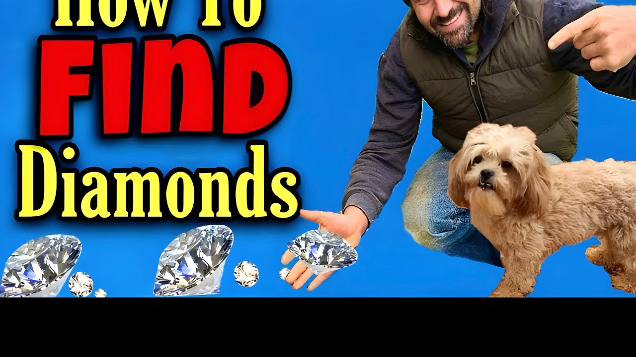 Actually Finding a Real Diamond Mining Arkansas Crater of Diamonds ...