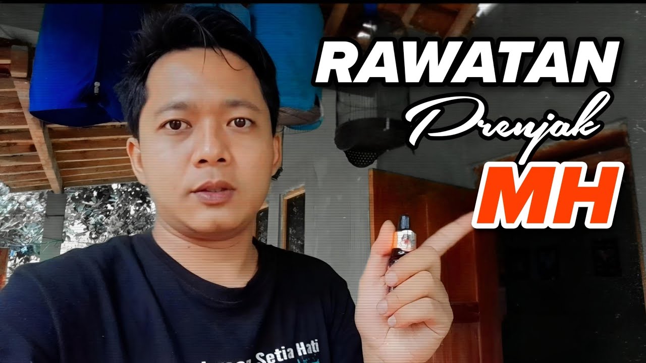 PRENJAK MUDA HUTAN CEPAT GACOR ‼️ LAKUKAN CARA INI - YouTube