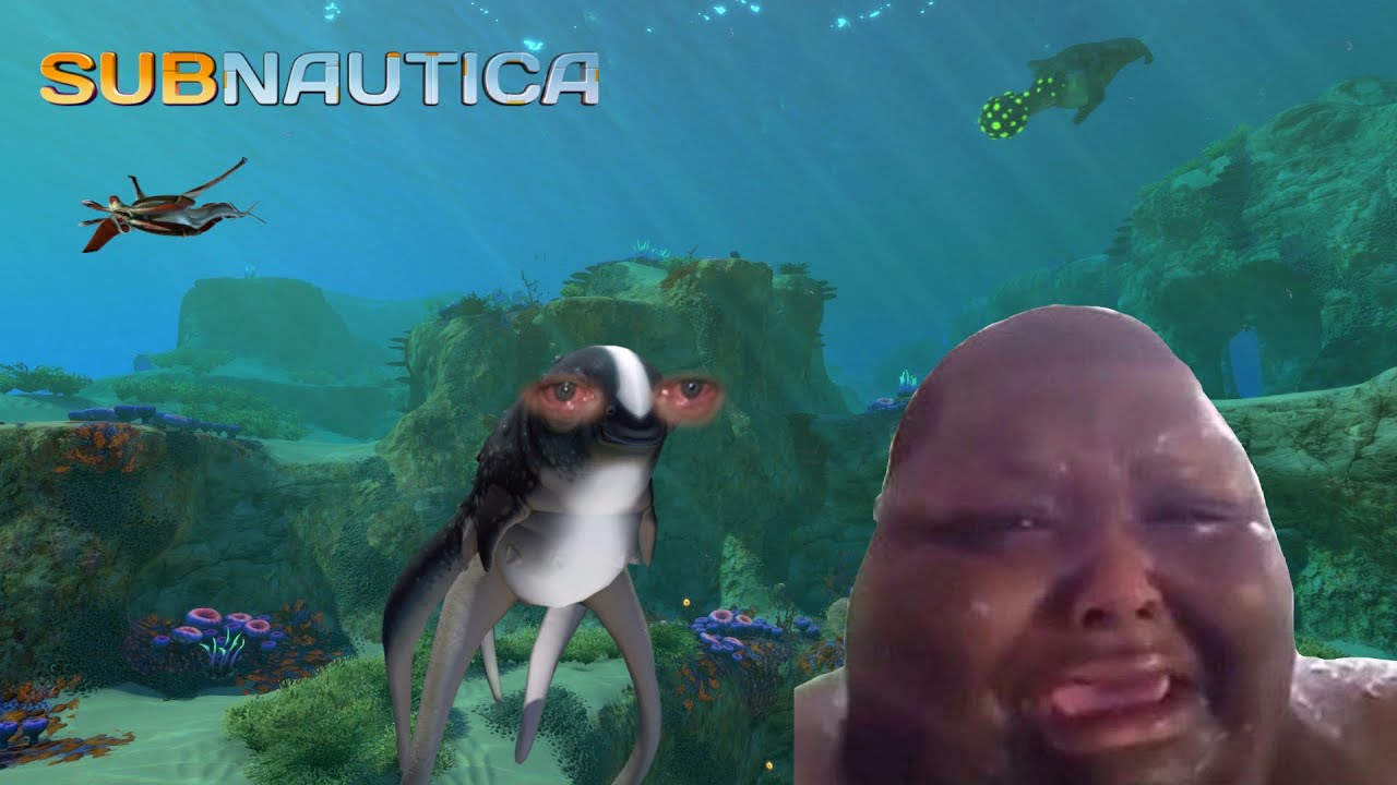 Dope Subnautica Gameplay: Saying goodbye to my Cuddlefish (SERIES ...