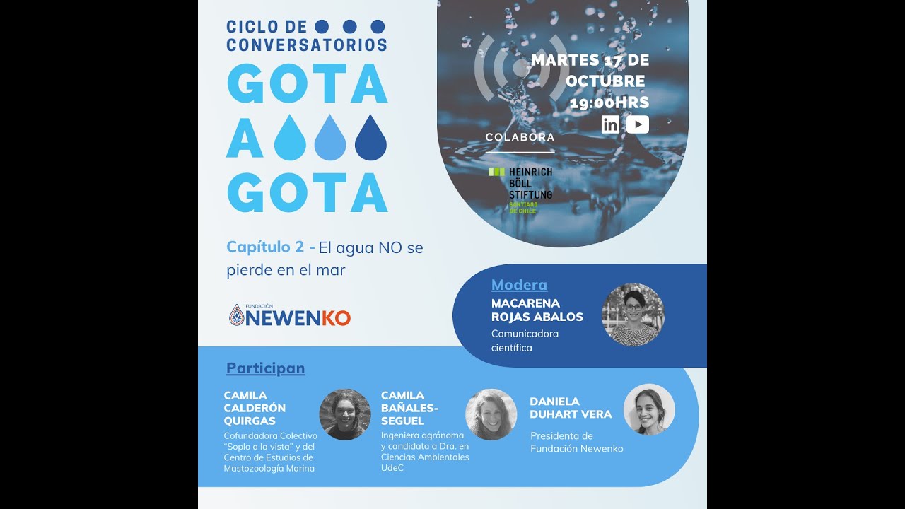 Gota a gota - El agua NO se pierde en el mar - YouTube
