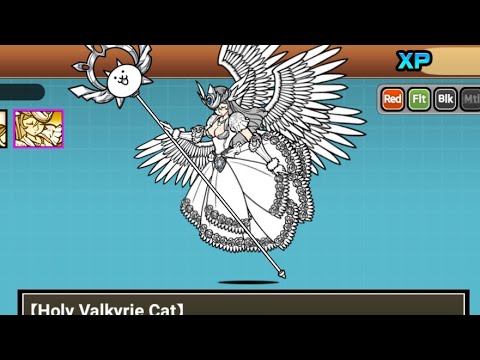Evolving Holy Valkyrie Cat - YouTube