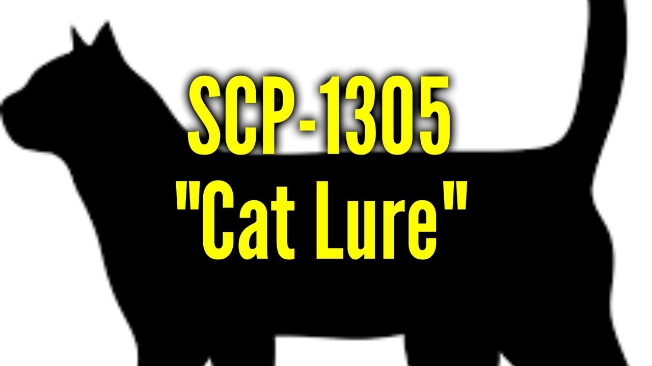 SCP-1305 Cat Lure | object class euclid - YouTube