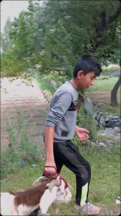 My first mini velog ......going in search for food for my goat ....😀 - YouTube