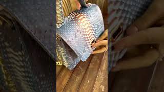 Сумка из кожи змеи BG-352 - EXOTIQ PYTHON