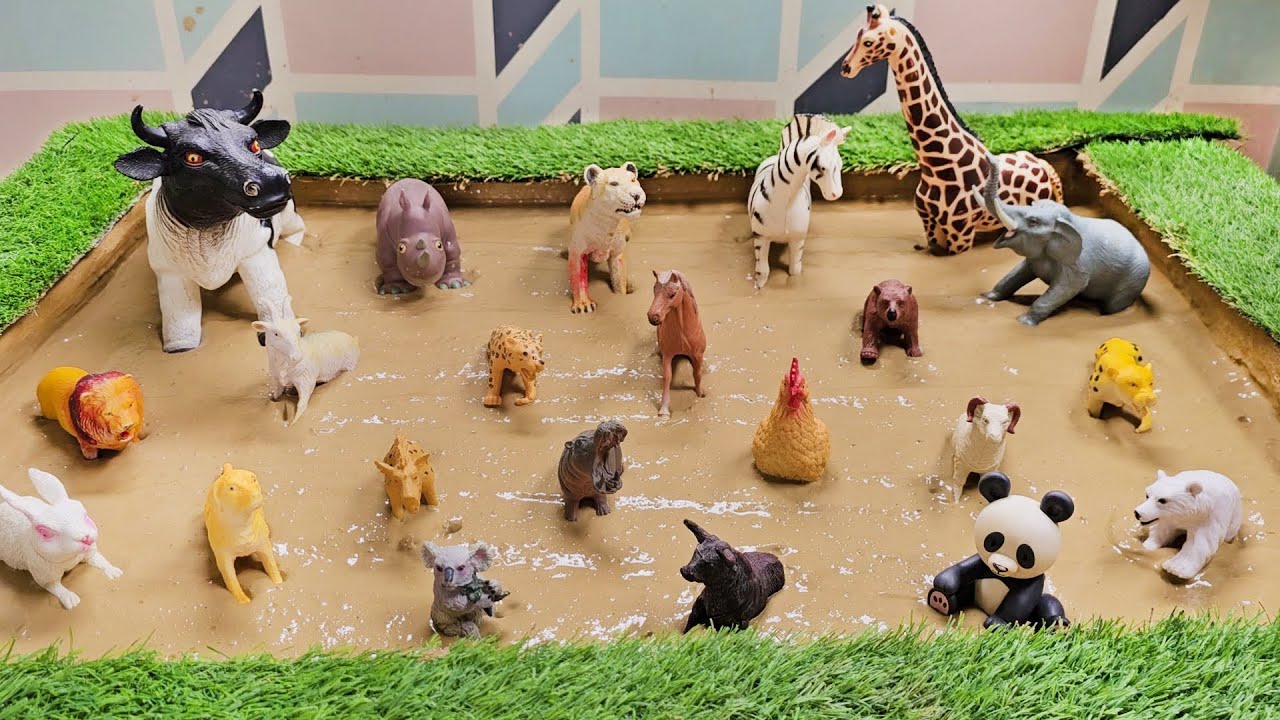 Nature's Sandbox Drama: Exploring the Lives of Farm & Jungle Animals in ...