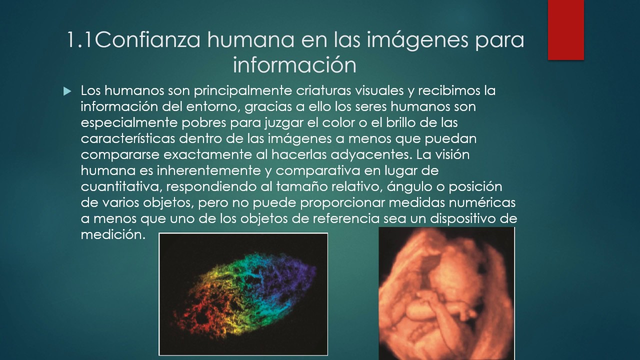 SISTEMAS DE VISION 1.1 A 1. 4 IMAGENES PARA FORMACION DE IMAGENES - YouTube