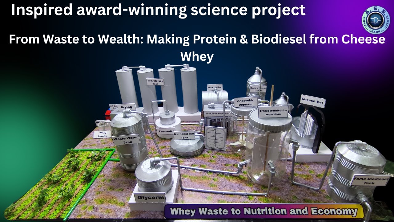 From Whey Waste to Nutrition & Economy – Eco-Friendly Protein Recycling ...