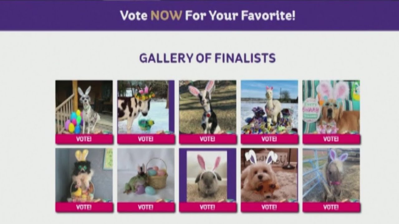 Cadbury names finalists for Bunny Tryouts - YouTube